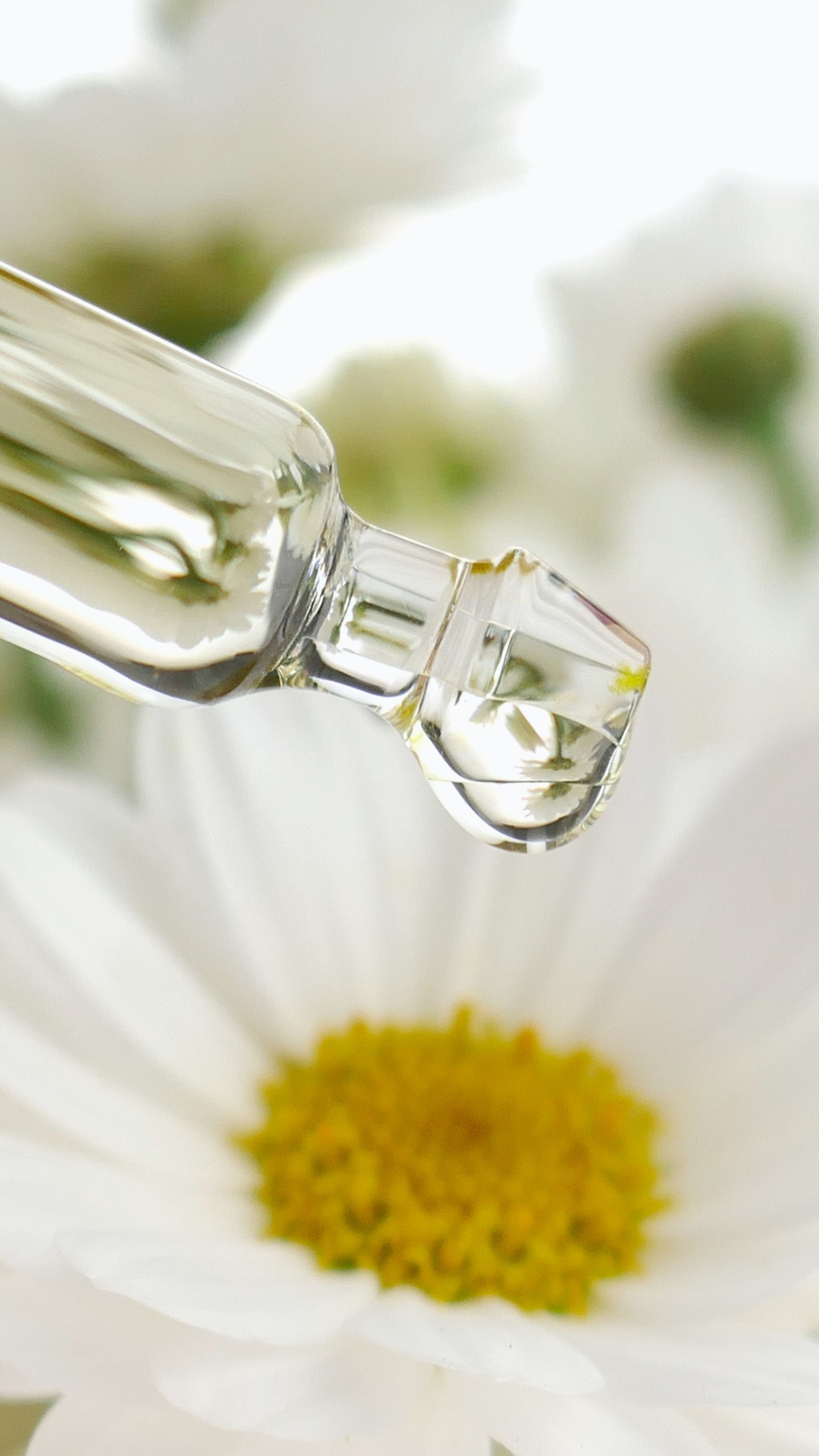 SoSo Wet Yoni Oil – Her Sweet Yoni LLC